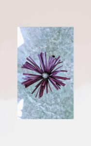 Construction Paper Flowers - Create Clusters - Its Blooming Paper