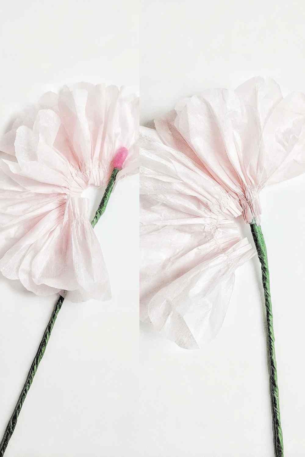 Tissue Paper Flowers Won't Break the Bank - Its Blooming Paper