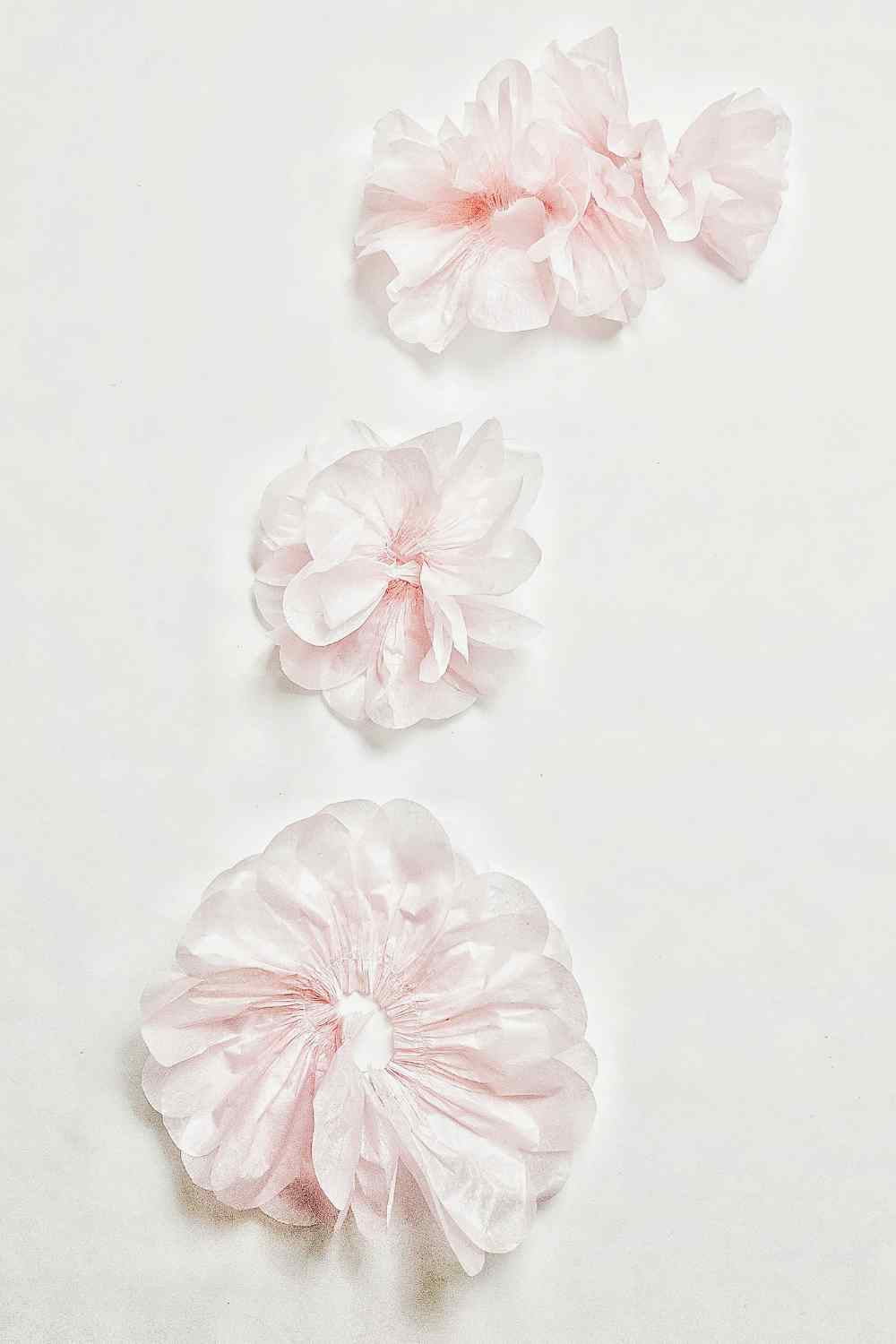 Tissue Paper Flowers Won't Break the Bank - Its Blooming Paper