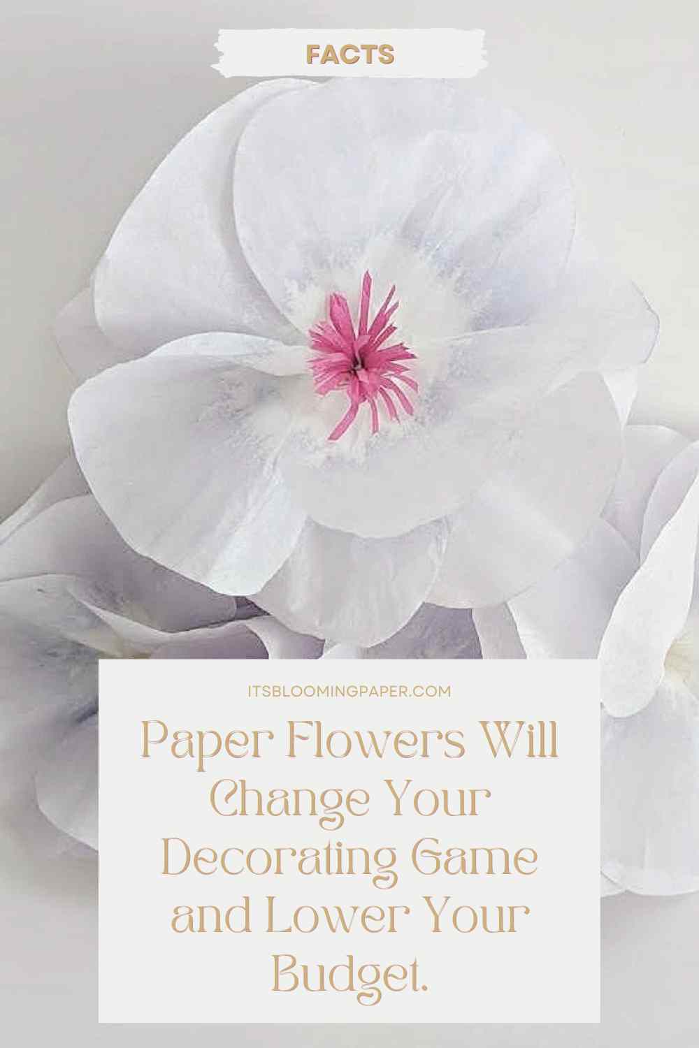 Easy Paper Flowers to Make Whenever - Its Blooming Paper