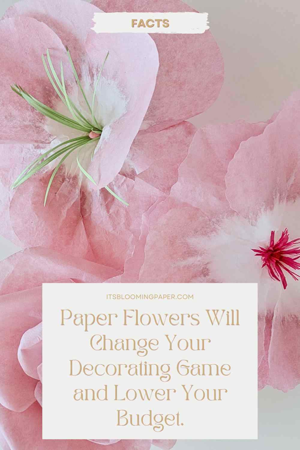 Easy Paper Flowers to Make Whenever - Its Blooming Paper