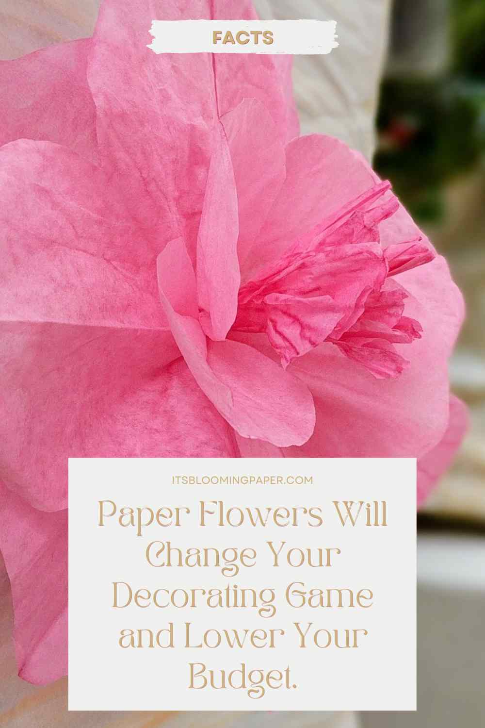 Easy Paper Flowers to Make Whenever - Its Blooming Paper