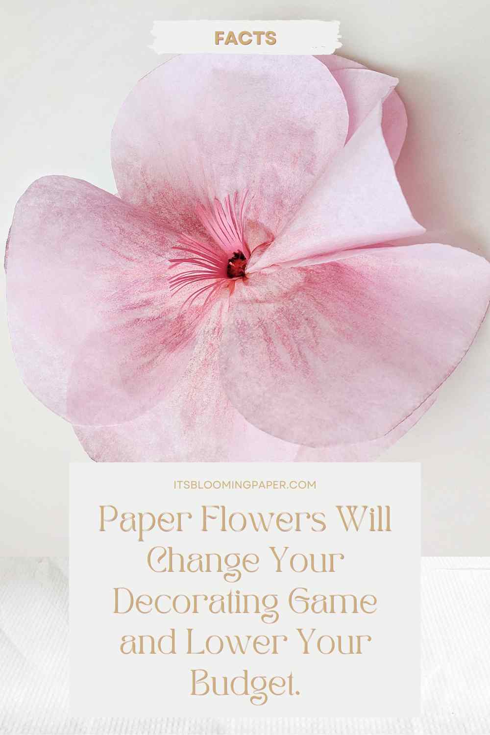 Easy Paper Flowers to Make Whenever - Its Blooming Paper