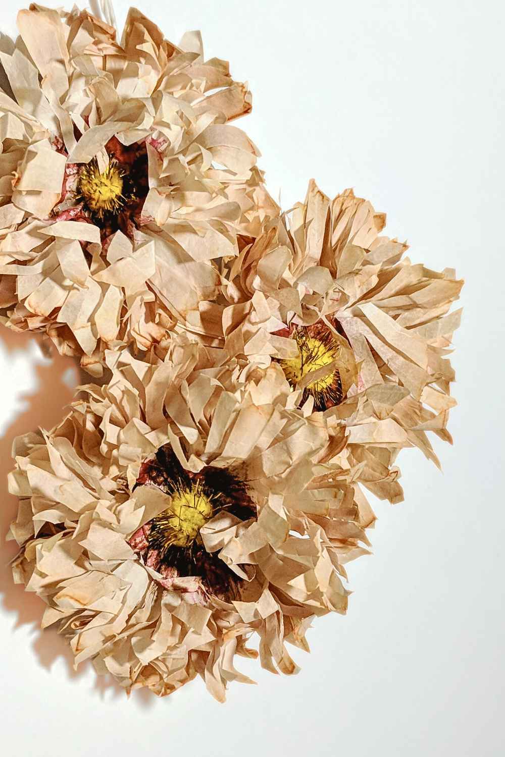 Cupcake Liner Flowers and Your Creativity - Its Blooming Paper