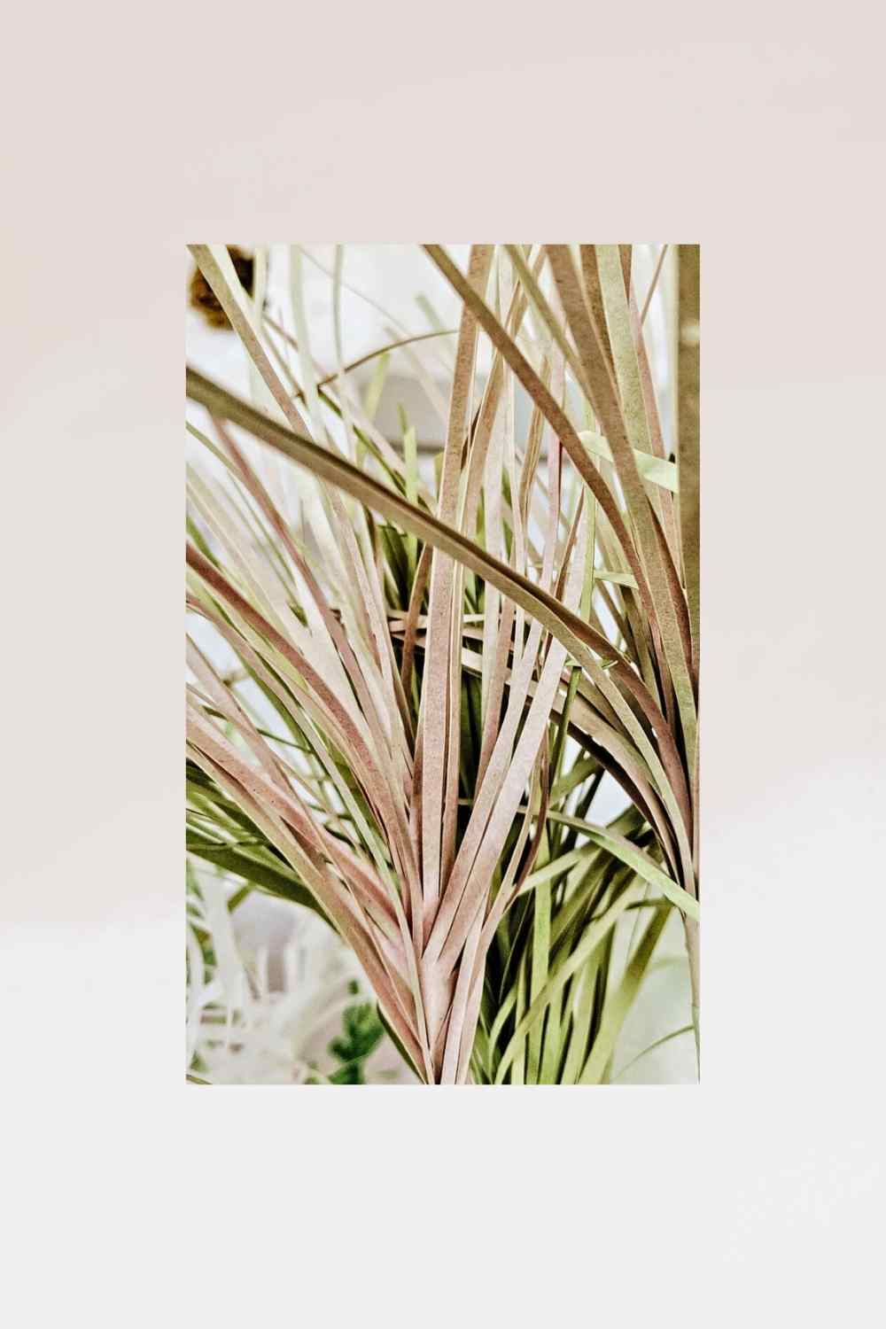 Newsprint Paper Flowers is Beautiful News - Its Blooming Paper