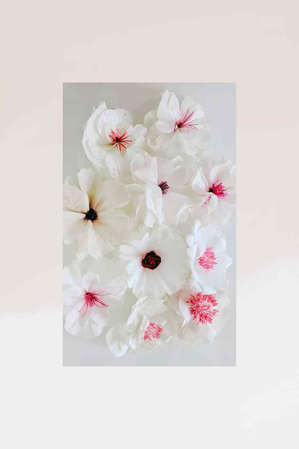 White Paper Flowers DIY - Your Best Bet - Its Blooming Paper