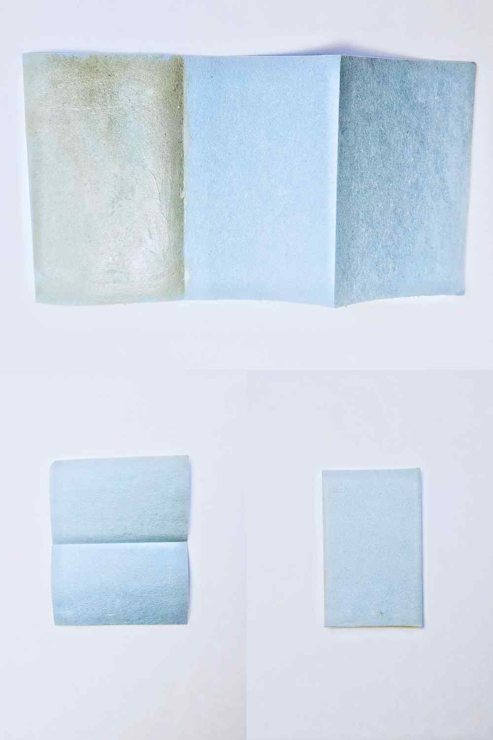 Paper Feathers - Make Them Gorgeous - Its Blooming Paper