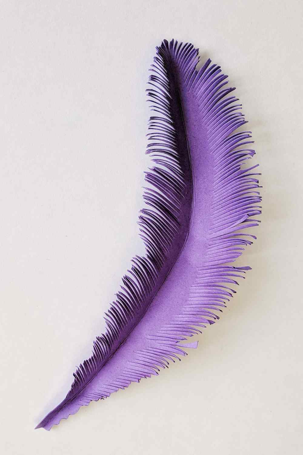 Paper Feathers - Make Them Gorgeous - Its Blooming Paper