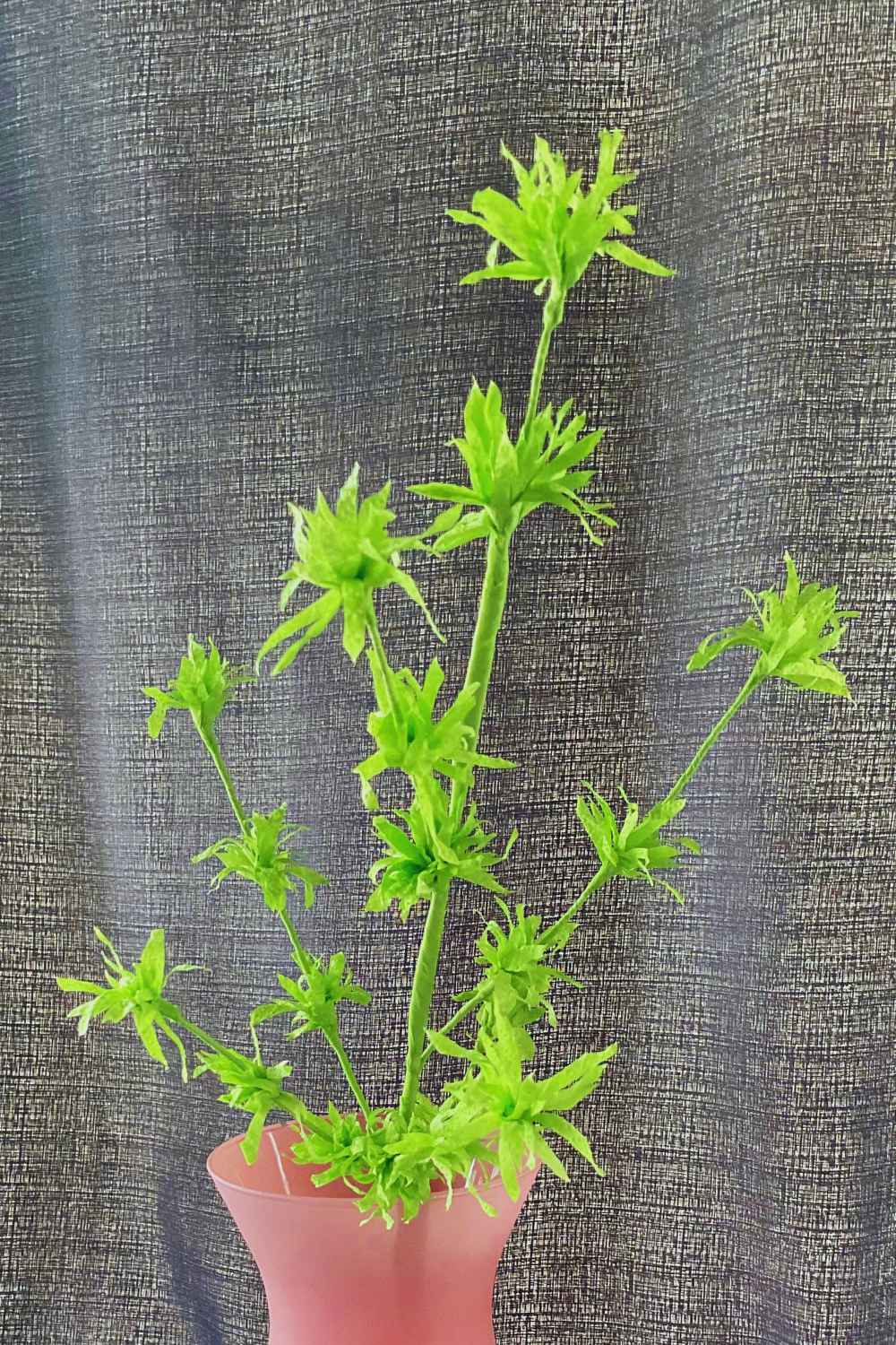 Paper Leaves -Make With a Simple Twist - Its Blooming Paper